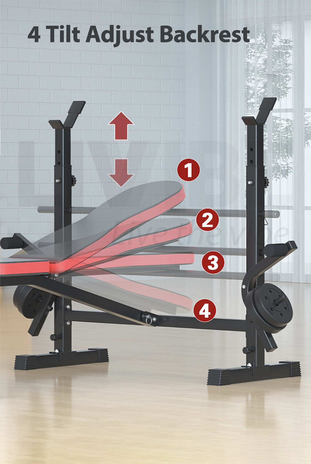 FitnessLab Back Adjustable Weight Bench Press Multi-station Fitness ...