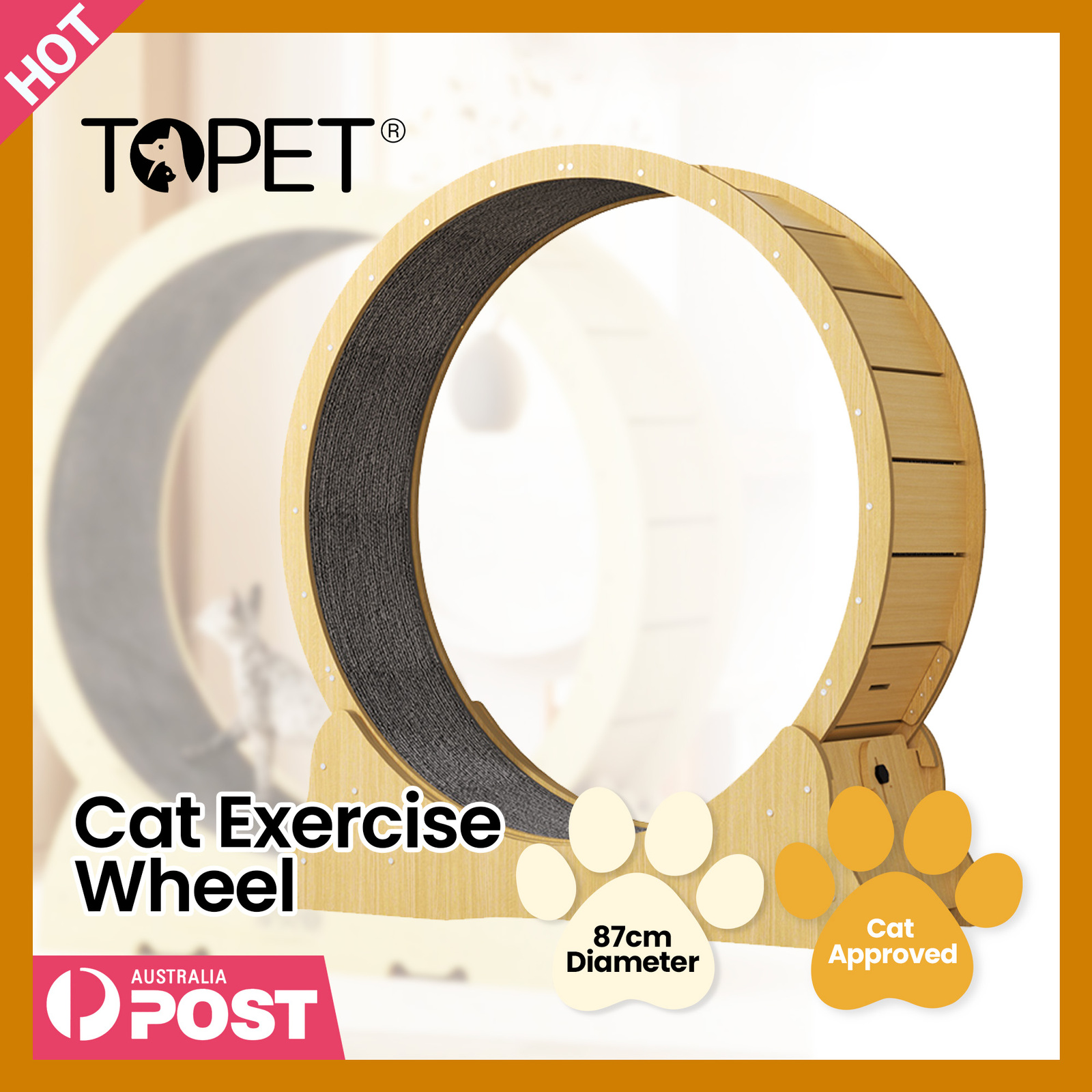 TOPET Cat Exercise Wheel Toy Running Exerciser Treadmill Scratcher ...