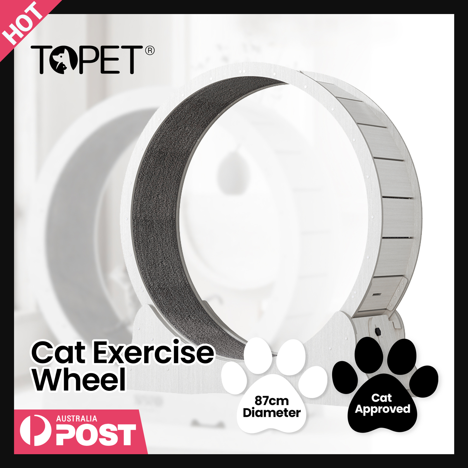 Cat Exercise Wheel Toy Running Exerciser Treadmill Scratcher Board ...